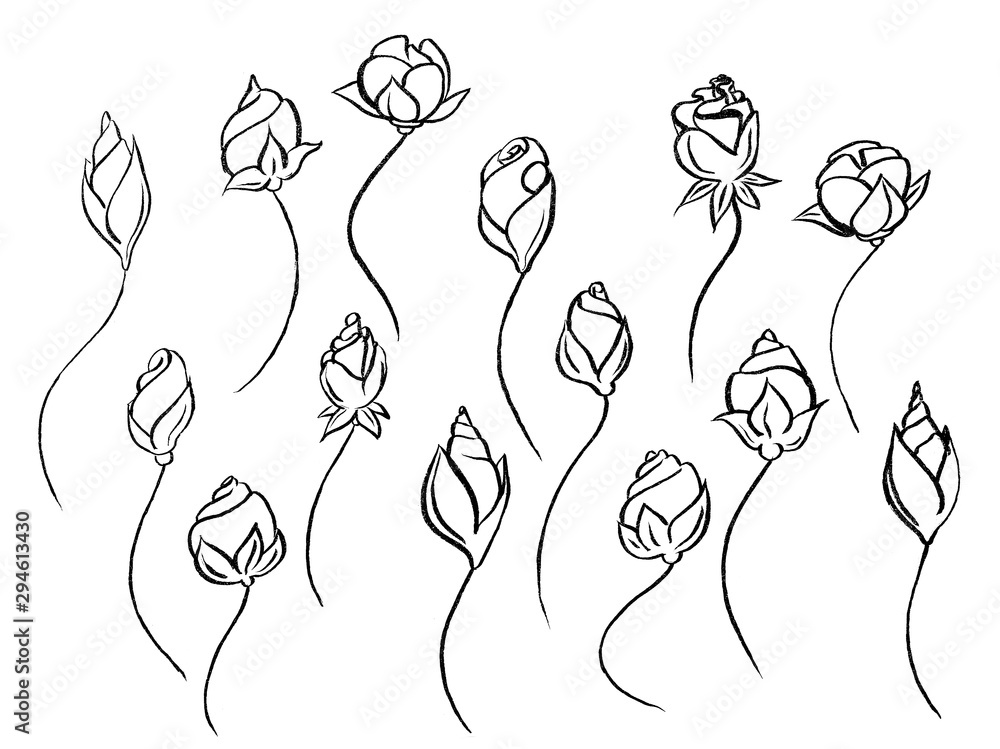 Abstract roses. Graphic elements drawn with ink. Black-and-white ...