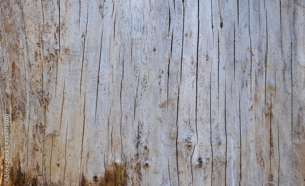 Vintage texture. Surface with vertical cracks, lines . white and brown ...