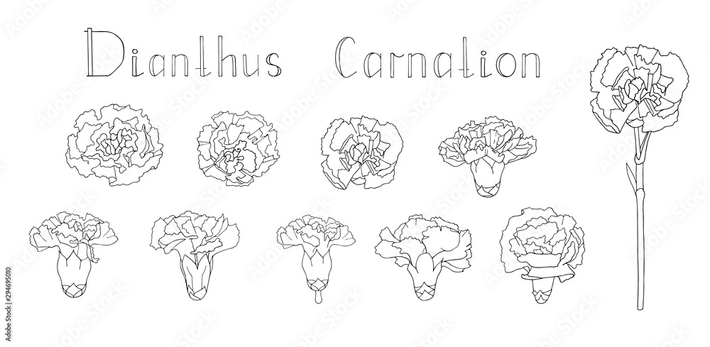 Vector illustration. Collection of hand drawn floral elements isolated ...