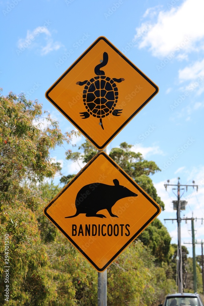 Traffic sign for turtles and bandicoots, Australia Stock Photo | Adobe ...