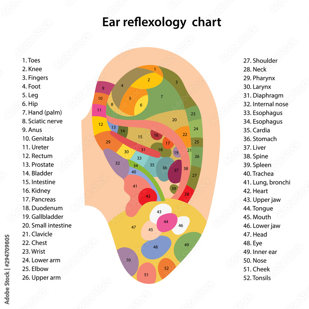 Ear reflexology chart with description of the corresponding internal ...