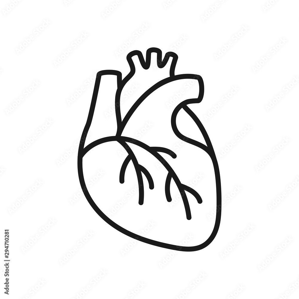Human Heart Outline