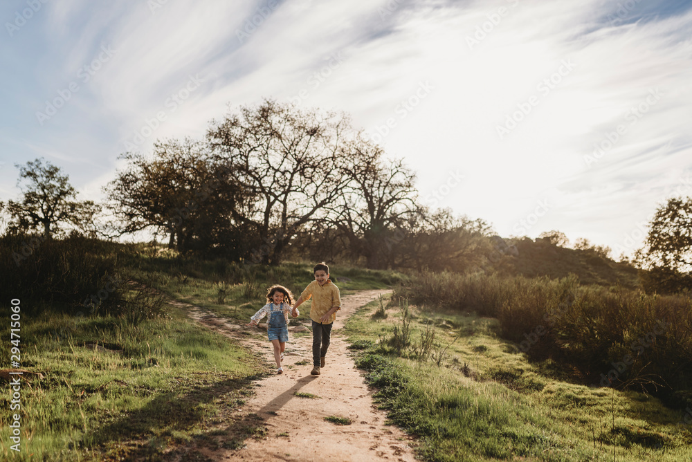 Brother and sister holding hands and running in backlit field Stock ...