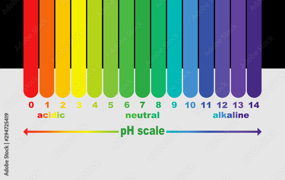 scale of ph value for acid and alkaline solutions, infographic acid ...