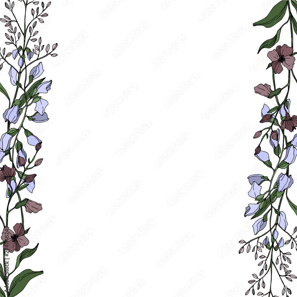 Vector Wildflower floral botanical flowers. Black and white engraved ...