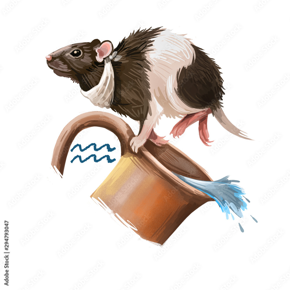 Aquarius creative digital illustration of astrological sign. Rat sor ...