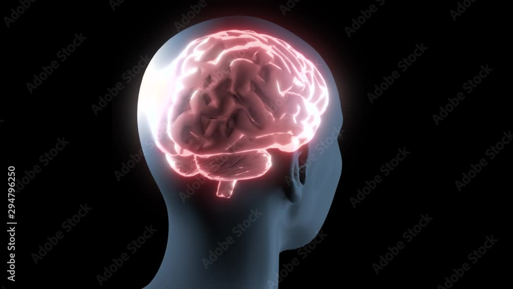 Human Brain Looping 3D Illustration Stock Video | Adobe Stock