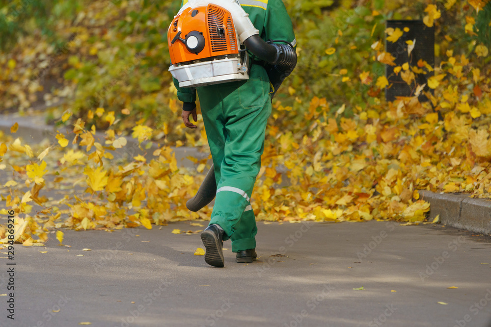 Cleaning falling leaves on a city street in the autumn dry time. Using ...