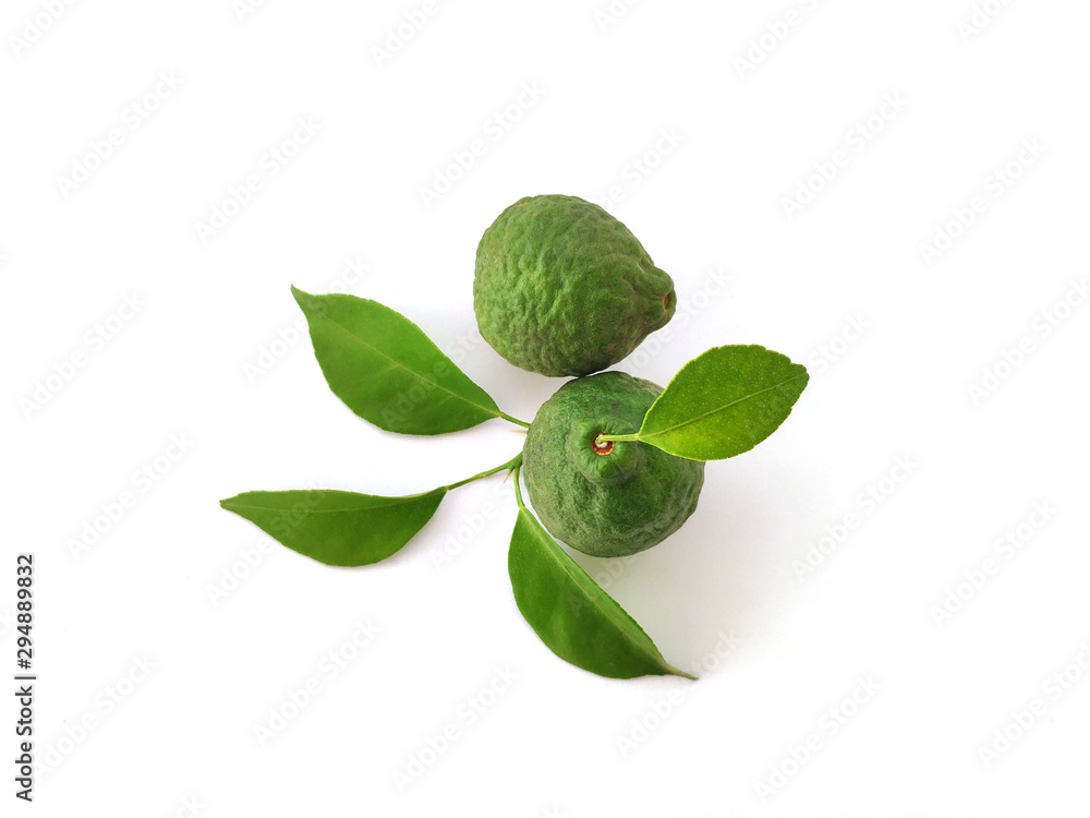 Citrus hystrix known as Jeruk purut or jeruk limau in Indonesia ...