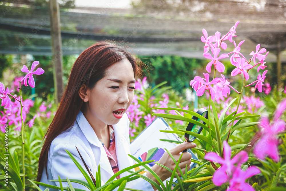 Beautiful girl, scholars and orchid research development for quality ...
