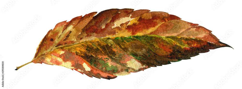 Dry Leaf Drawing