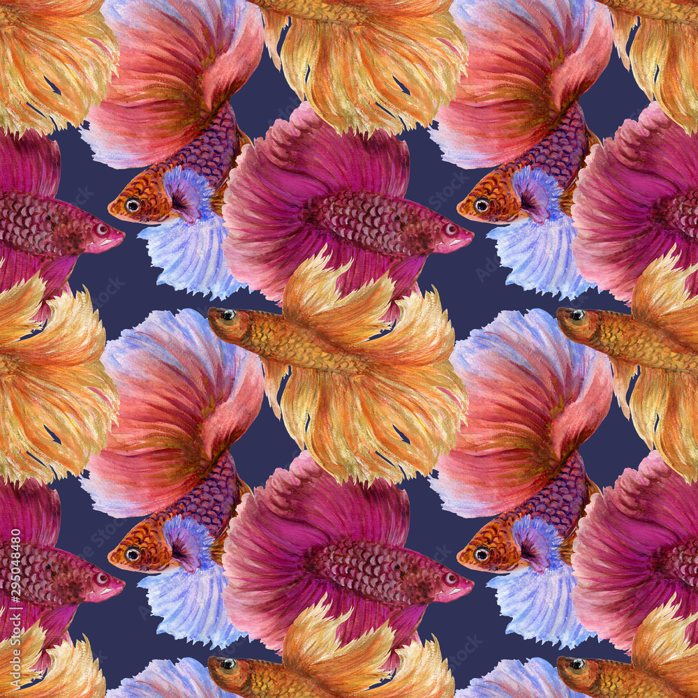 Watercolor Betta fish siamese fighting fish and chinese fighting fish ...