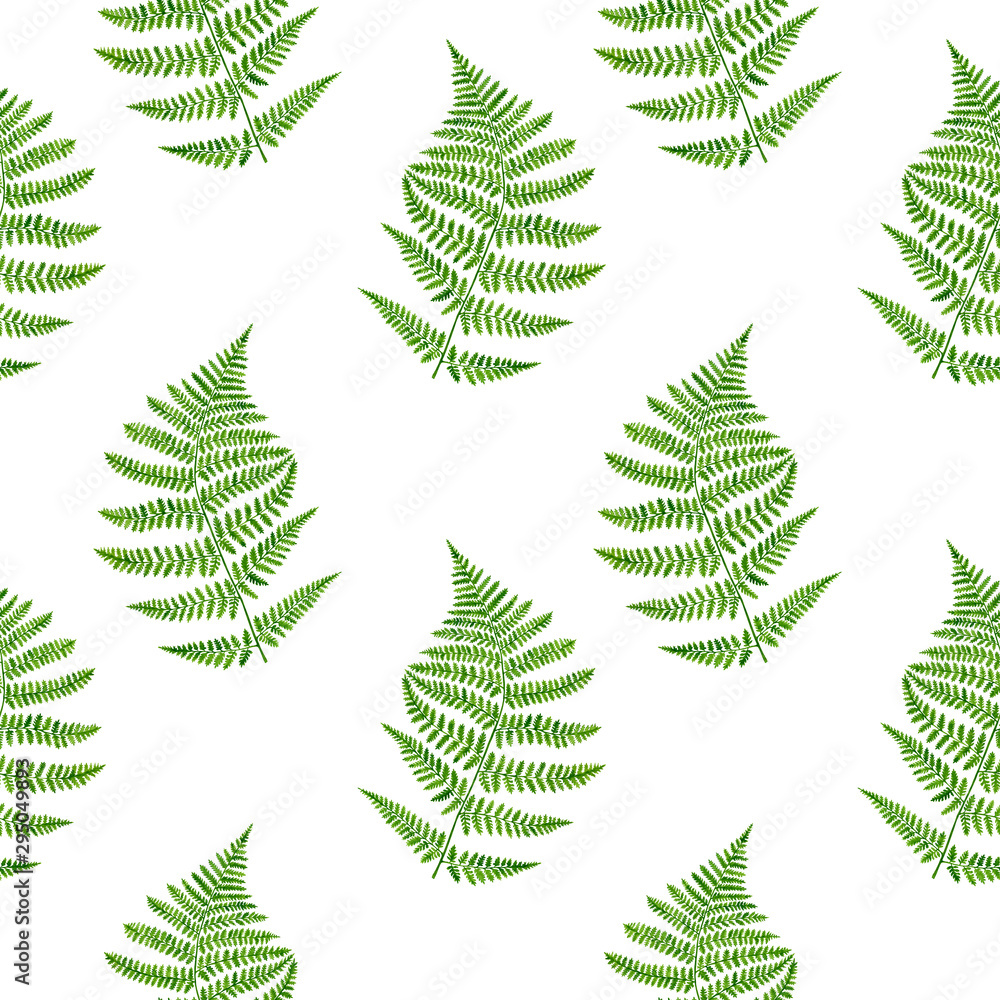 Watercolor fern leaves seamless pattern. Hand drawn botanical ...