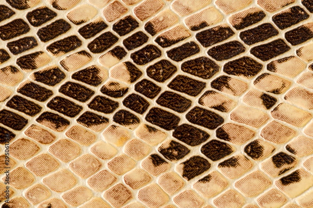 Snake skin pattern background , digital image picture Stock Photo ...