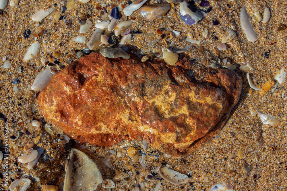 Sea still life. A stone with iron impurities and shells on the sand ...