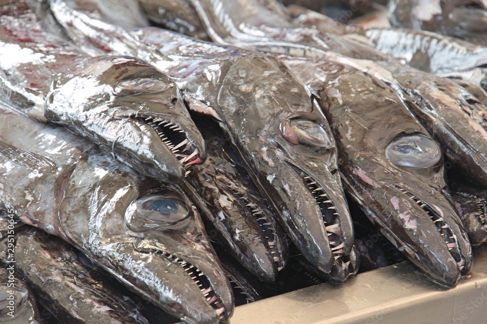 espada, typical fish of the island of Madeira Stock Photo | Adobe Stock