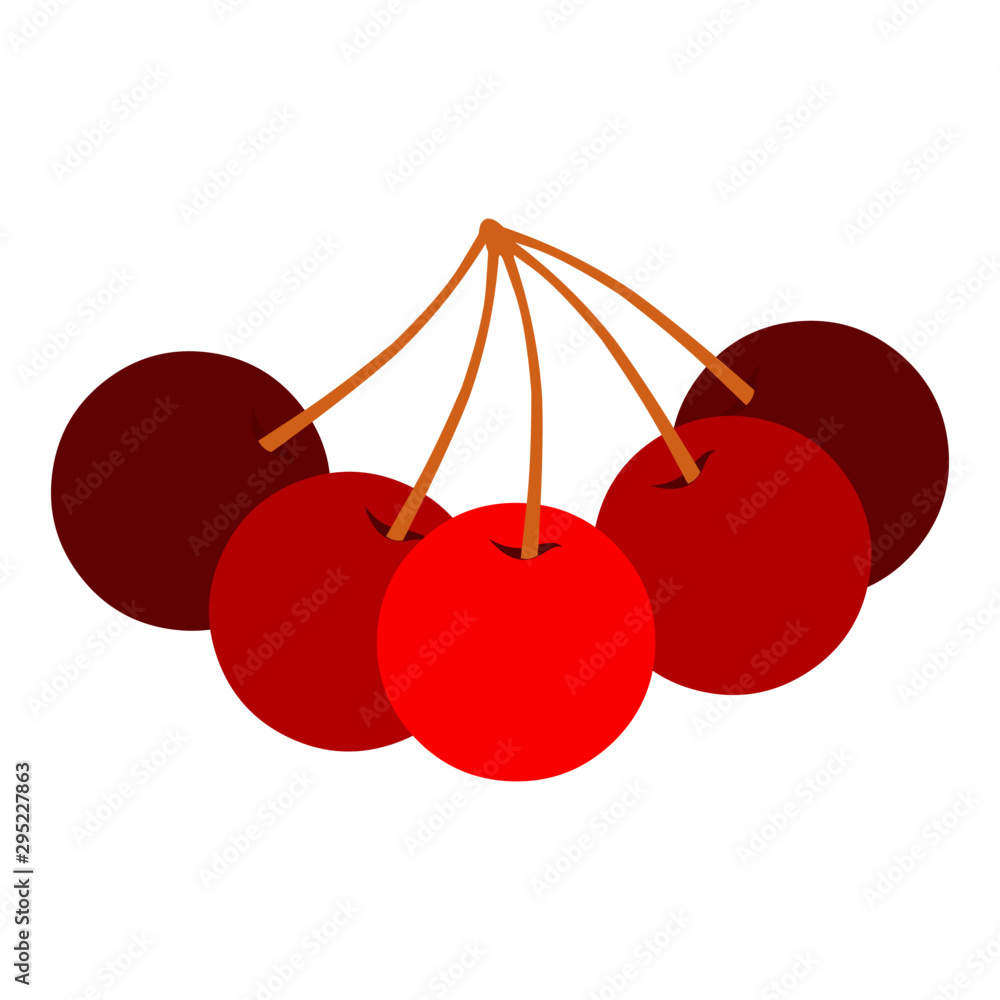 Cartoon Black Cherry