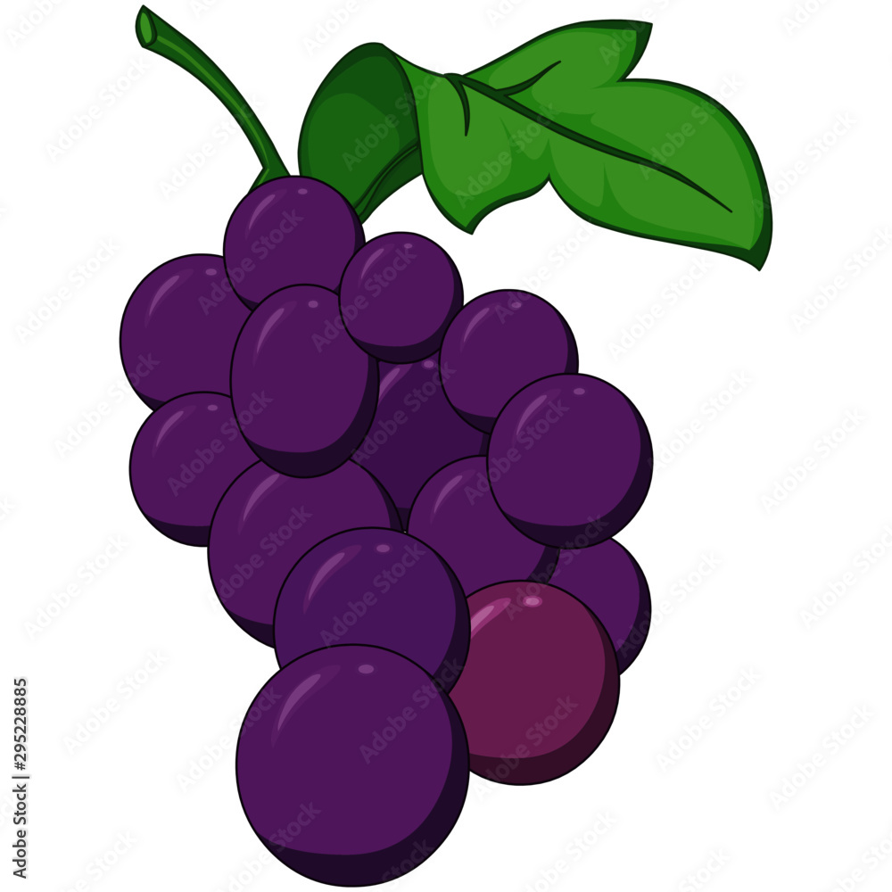 Purple Grapes - Cartoon Vector Image Stock Vector | Adobe Stock