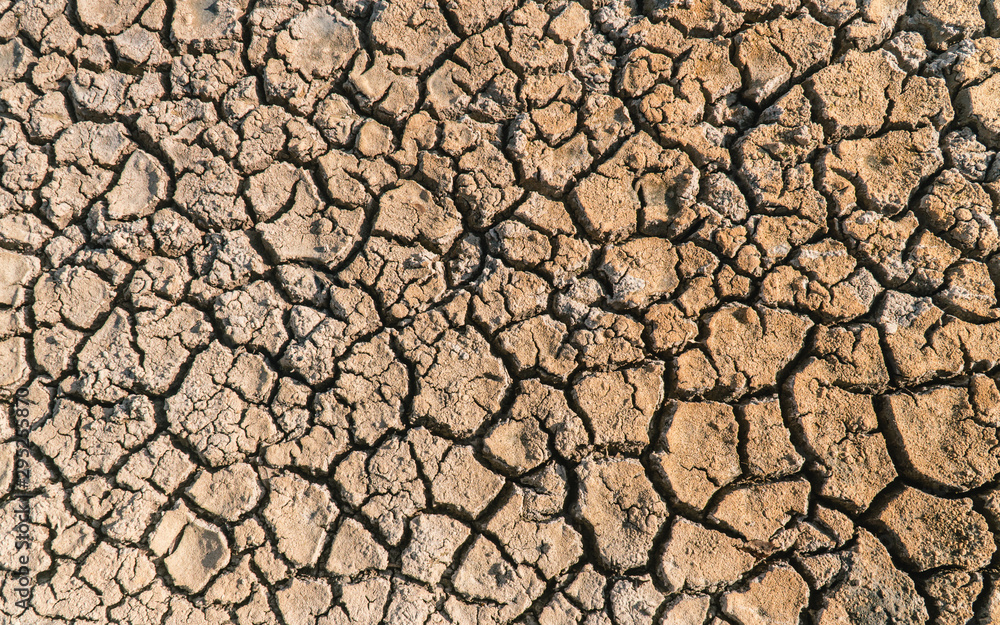 Cracked Desert Texture