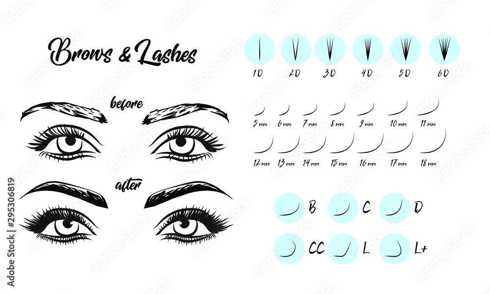 Eyelash Extension Guide. Different types of false eyelashes ...