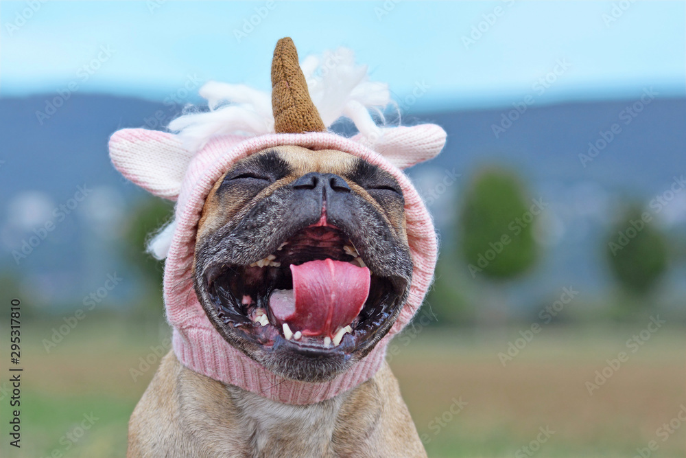 Yawning Bulldog Puppy