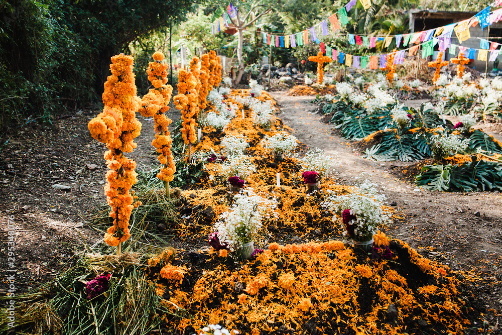 Dia de los Muertos Mexico, cempasuchil flowers for day of the dead ...