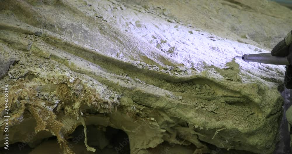 Dinosaur Paleontologist fossil bone working science. Paleontology ...