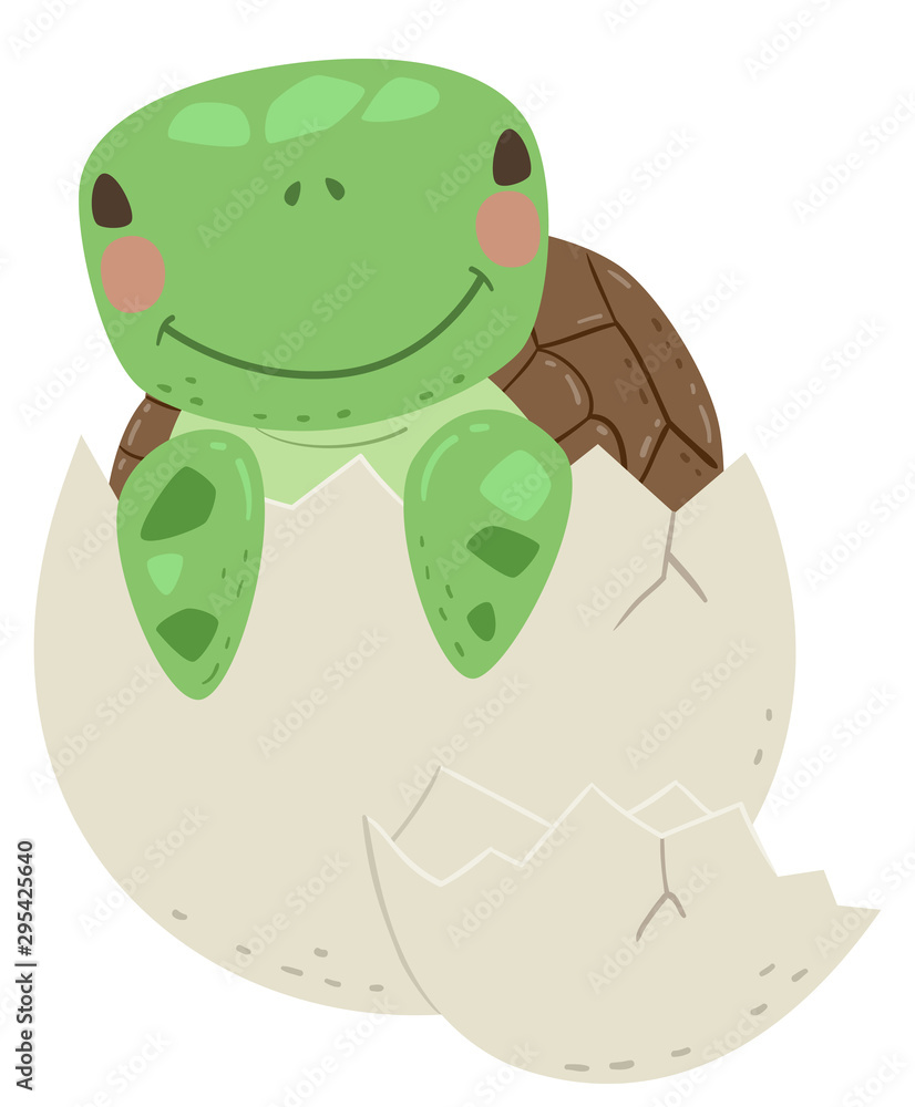 Animal Hatch Egg Turtle Illustration Stock Vector | Adobe Stock