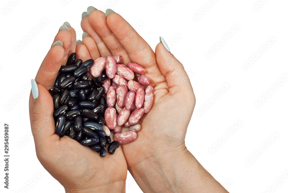 Fresh young beans in the palm of a hand. Texture of black and dark blue ...