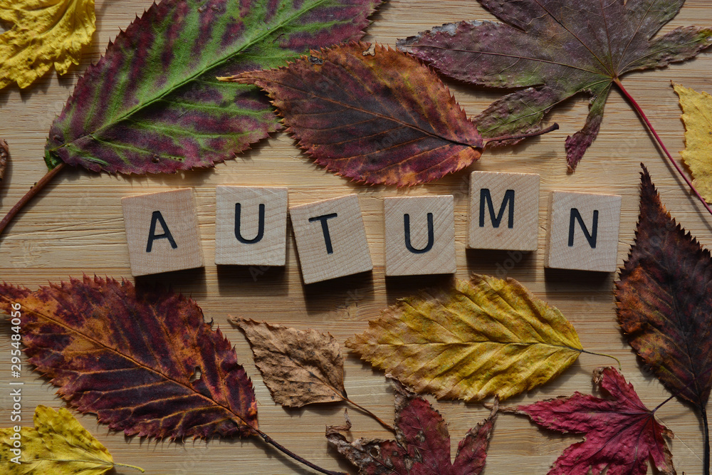 Autumn in 3d wooden alphabet letters surrounded by autumn leaves of ...