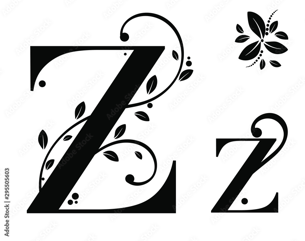 Decorated Alphabet with ornaments vintage vector, Letter Z upper and ...