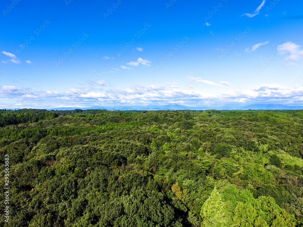 skyscape from drone, blue sky with green forest, view of natural after ...