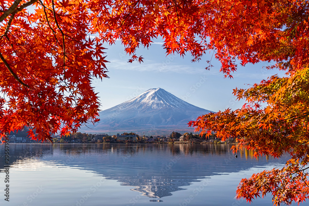 Fuji Mountain in autumn with colorful maple leaves at Lake Kawaguchi ...