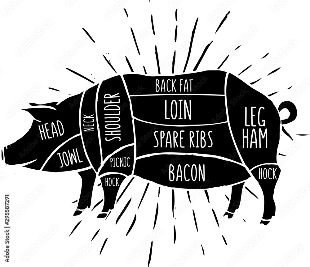 Scheme of Pork for butcher shop. Vector illustration. Stock Vector ...