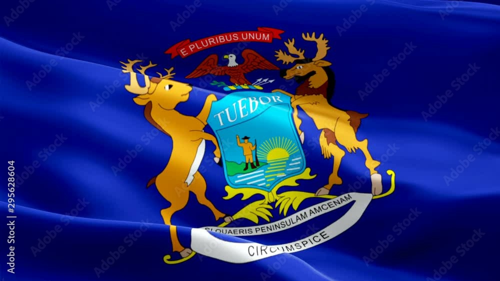 Michigan flag video waving in wind. Realistic US State Flag background ...