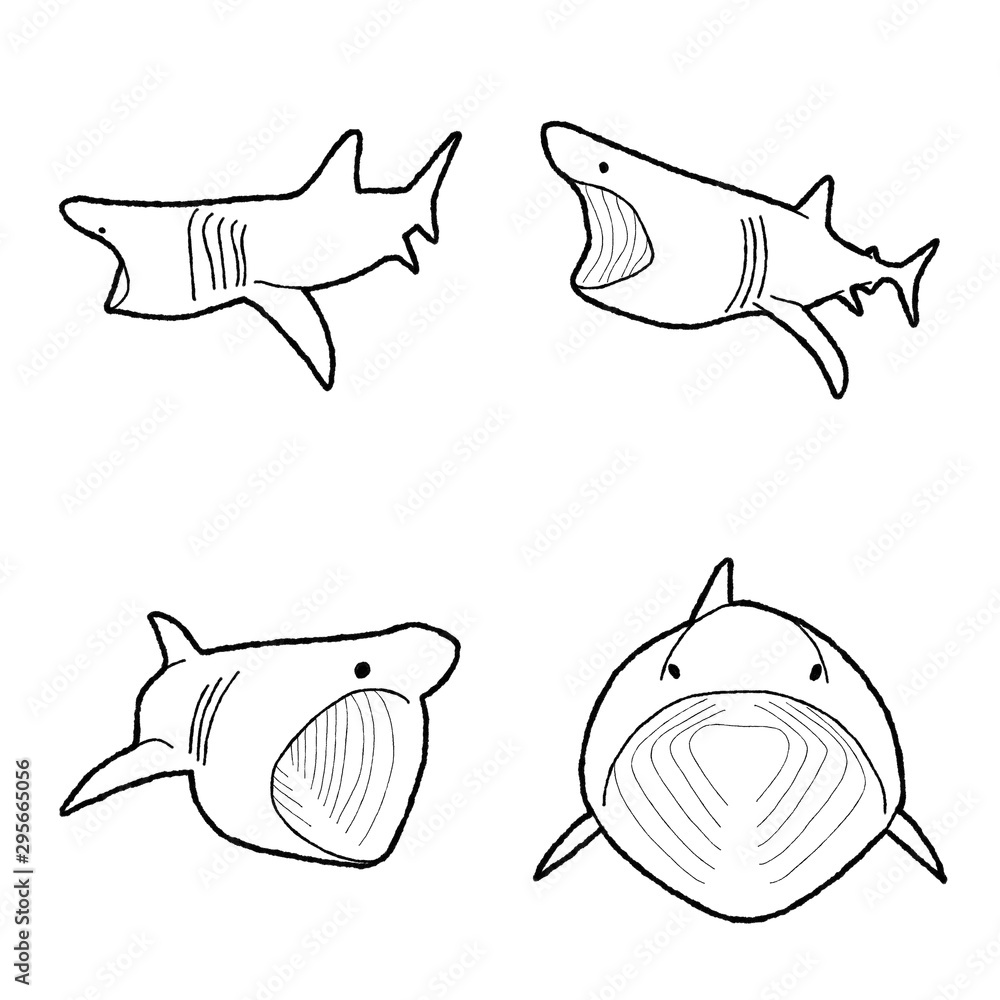 Basking Shark Animal Vector Illustration Hand Drawn Cartoon Art Stock ...