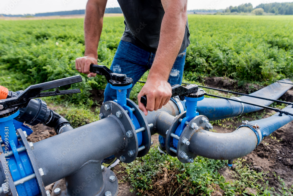 Drip irrigation system. Water saving drip irrigation system being used ...