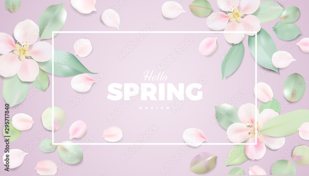 Soft color spring pastel background with spring flowers and leaves ...
