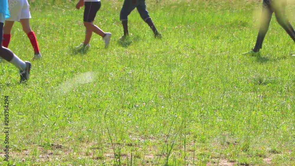 Team of soccer players playing football in a field. Green grass and ...