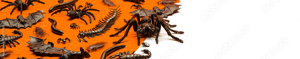 Black Halloween creepy crawly bugs and spiders on orange background ...