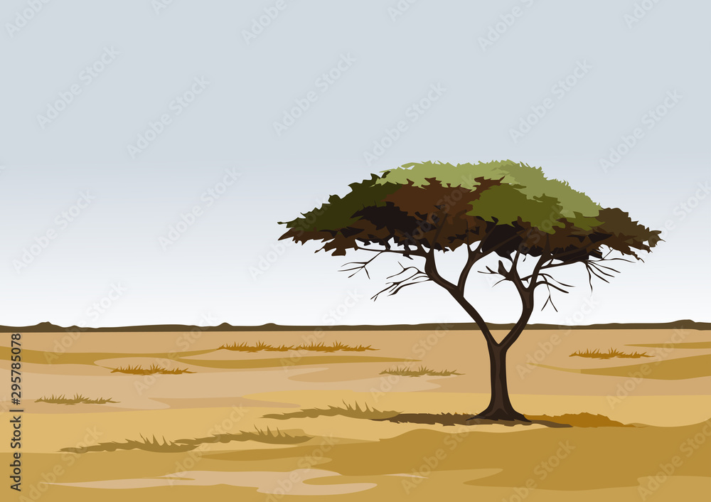 savana on africa for background and image illustartion Stock Vector ...