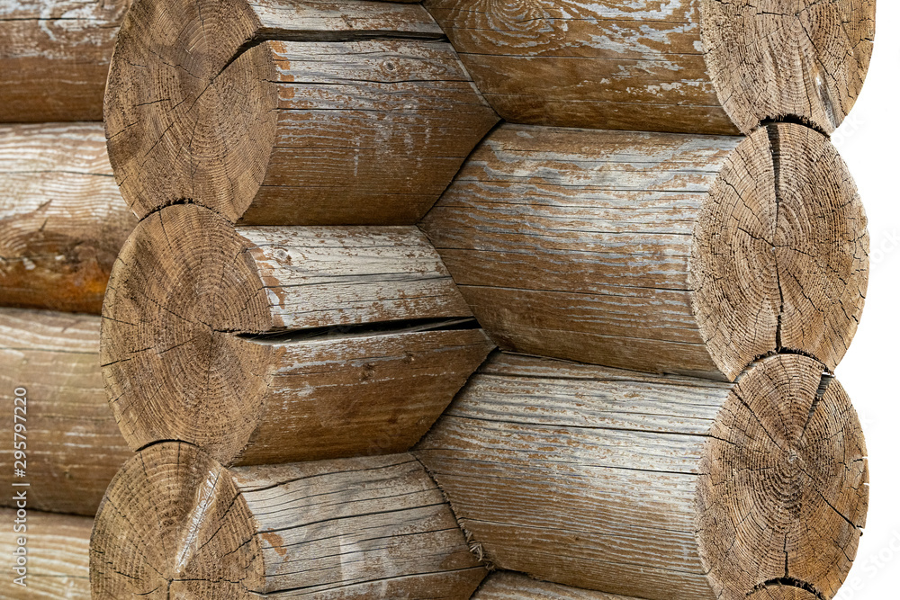 wooden log corner of the house. log wall. light wooden wall ...