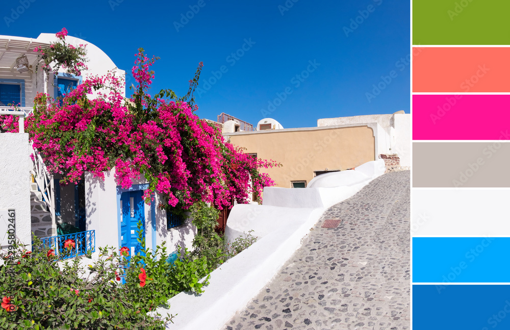 Color matching palette in blue, coral, green and fuchsia colors from ...