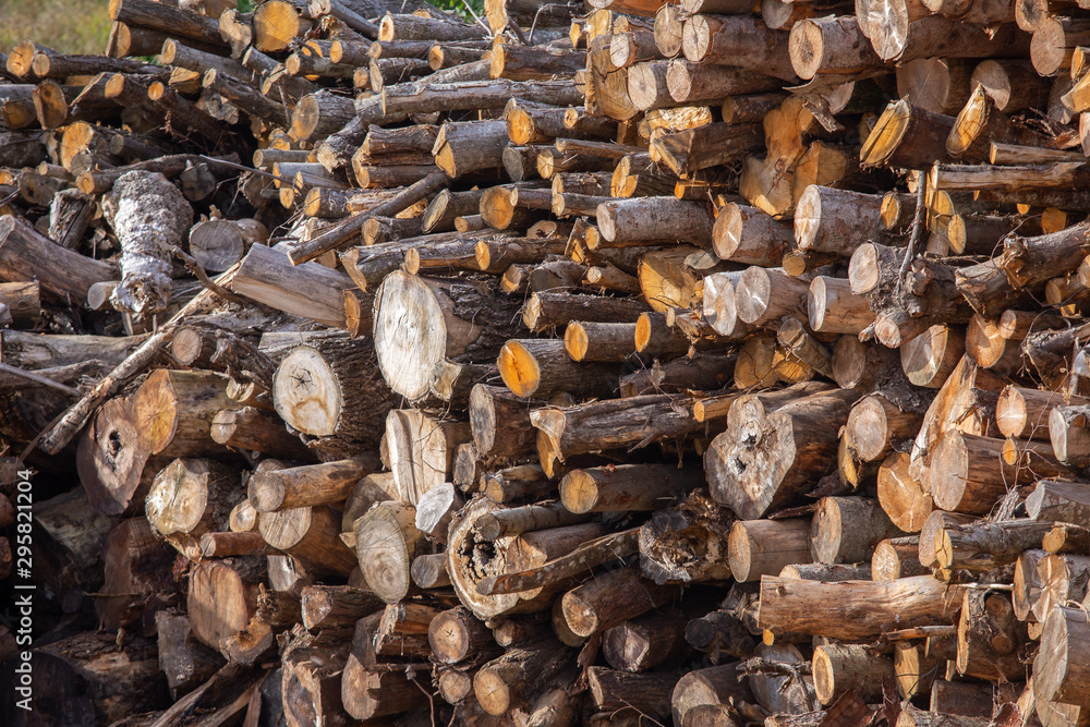 deforestation of mountain forests in northern Apennines Italy Stock ...