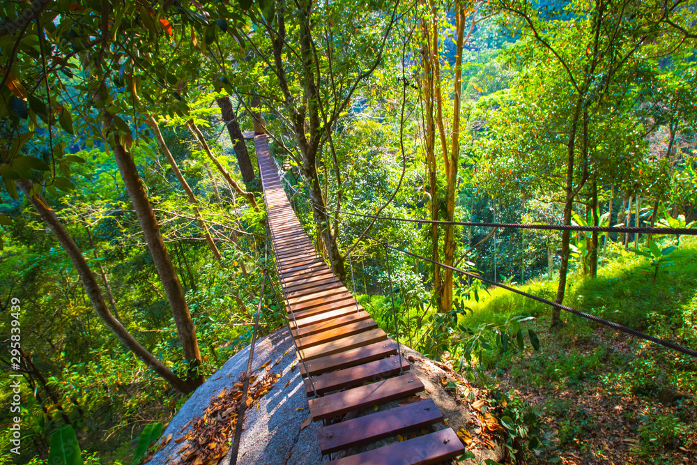 Wooden bridge. Forest. Suspended wooden bridge. Jungle. A bridge of ...