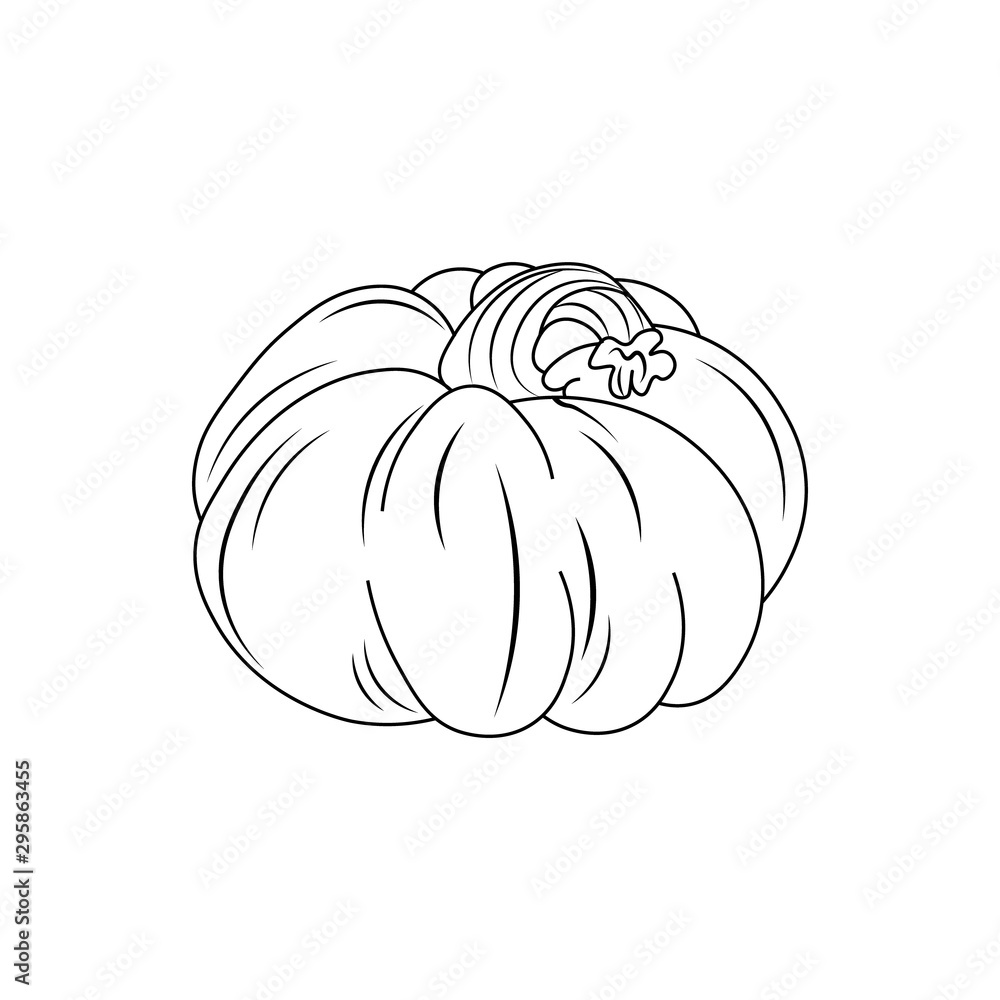 Squash Outline