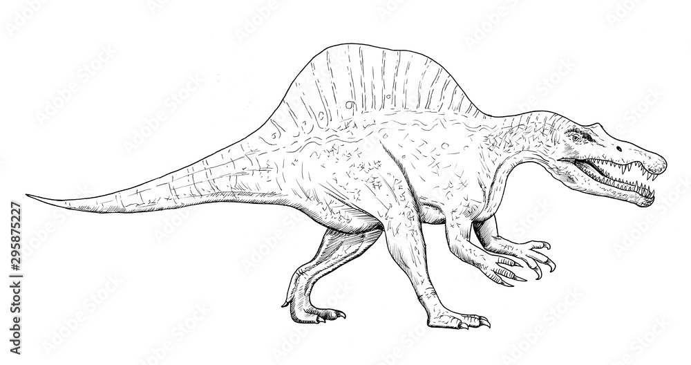 Spinosaurus Drawing