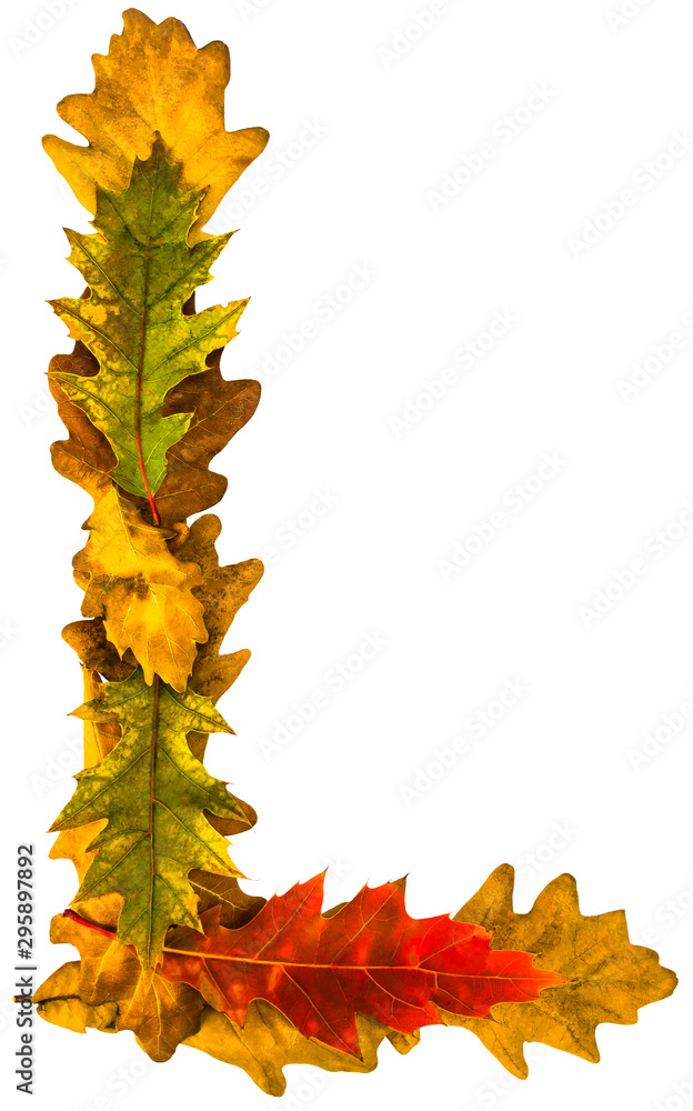Letter L. October. November. Text made by autumn leaves. English ...