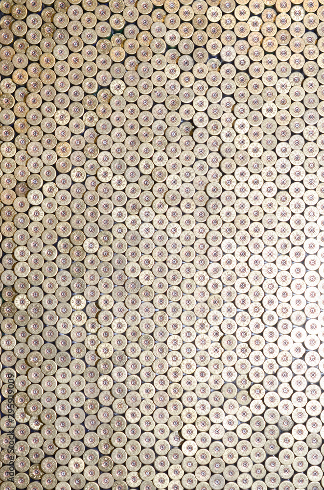 Pattern of 12 gauge cartridges for shotgun bullets. Shells for hunting ...
