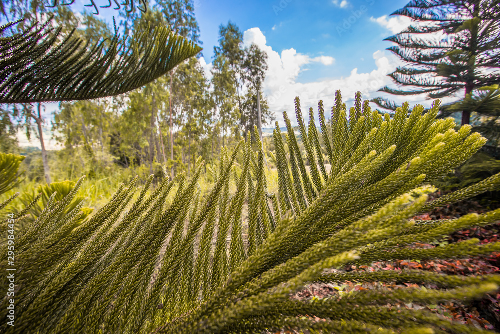 background,Open view of the temple at Dara Pirom Temple (Mae Rim),which ...